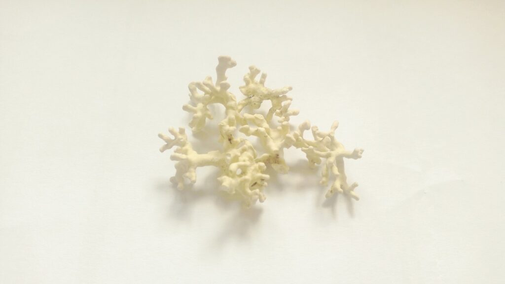 About Aquamin Marine Minerals | Aquamin