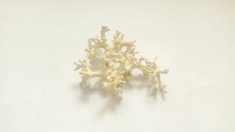 About Aquamin Marine Minerals | Aquamin