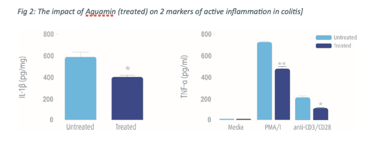 Aquamin - A Plant-Based Solution for Enhanced Gut Health | Aquamin