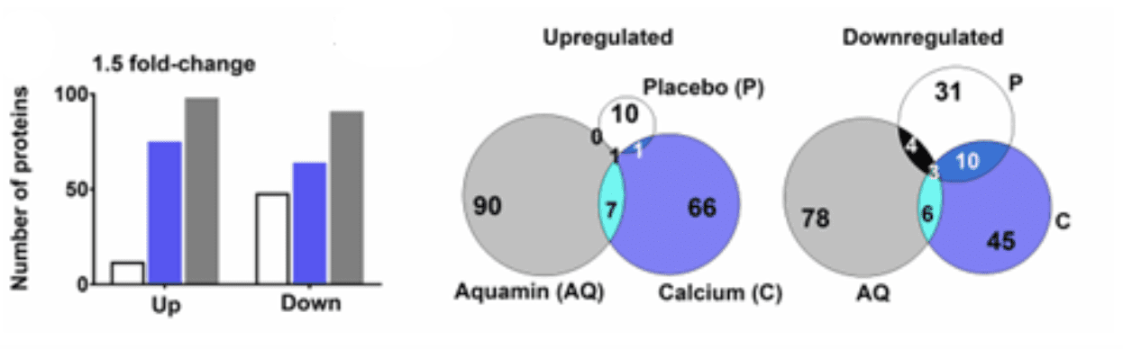 Aslam et al., 2021 | Aquamin